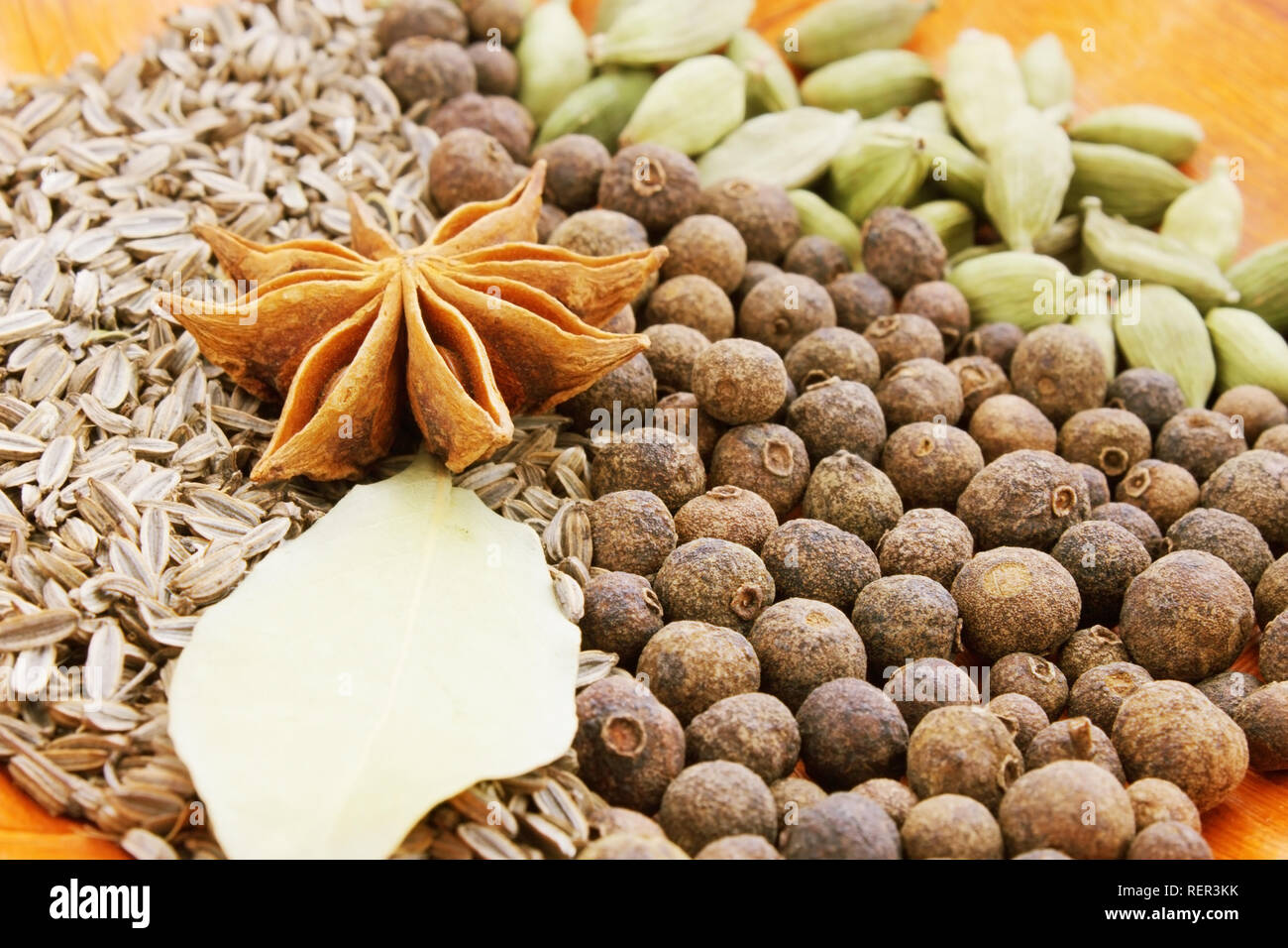 Indian cardamom tree hi-res stock photography and images - Alamy