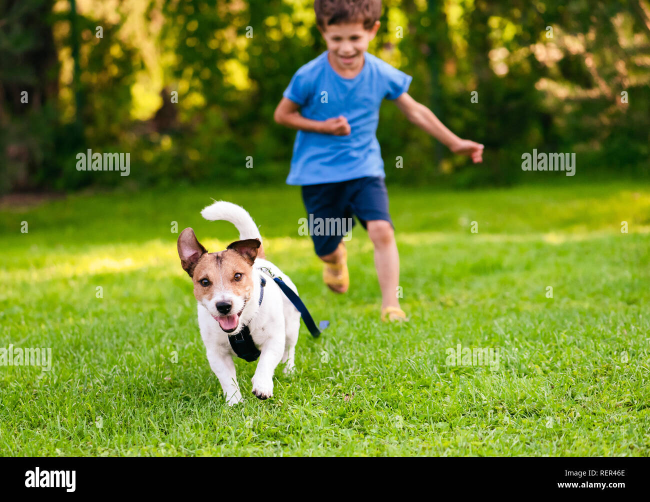 Ground handler hi-res stock photography and images - Alamy