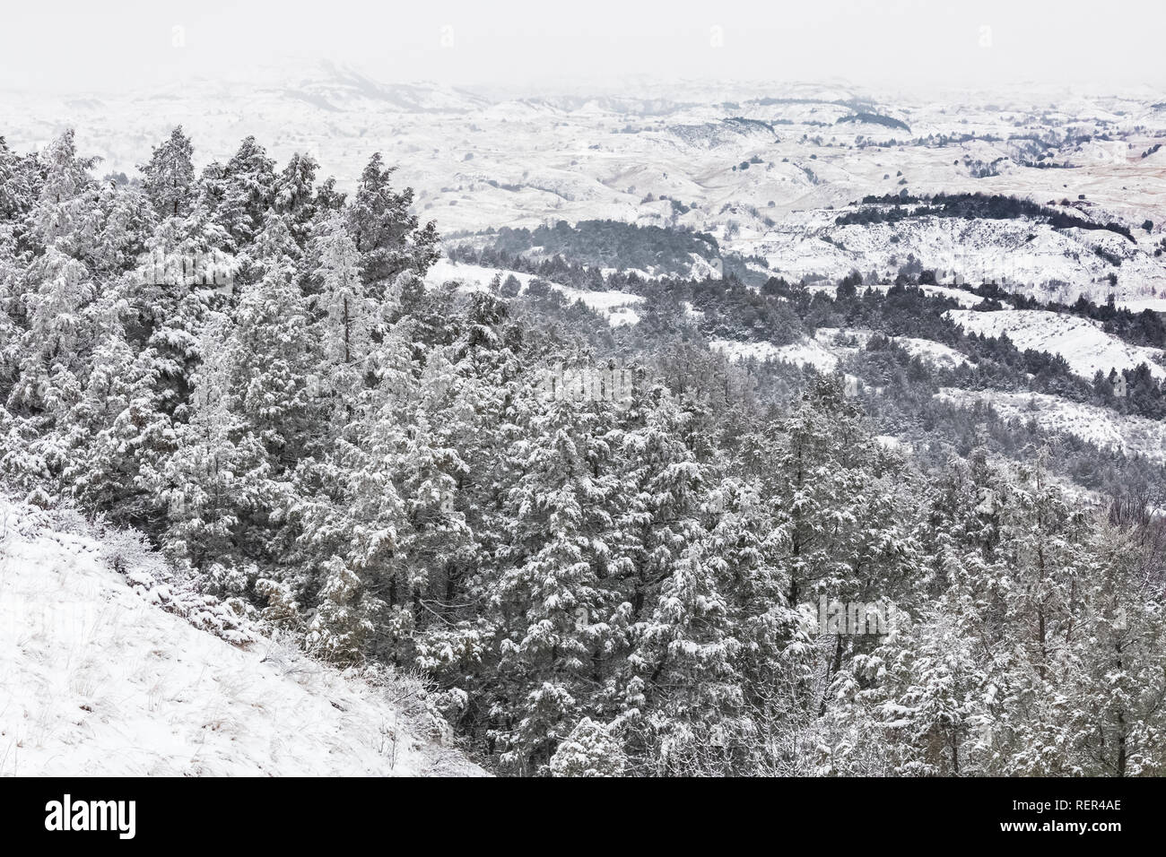Winter landscape of snowy badlands and hills in Theodore Roosevelt ...