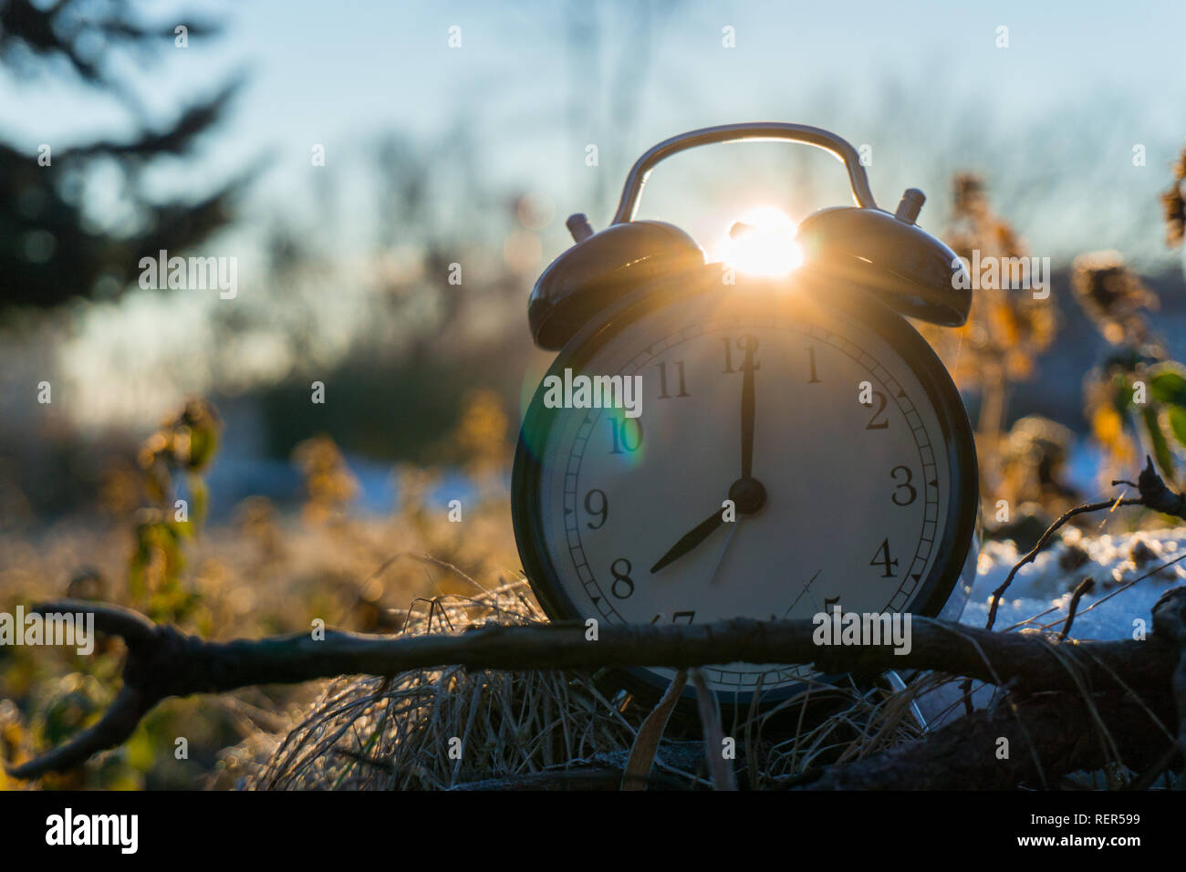 MORNING ALARM CLOCK IN A COLD ICY GRASS WITH SUNRISE Stock Photo - Alamy