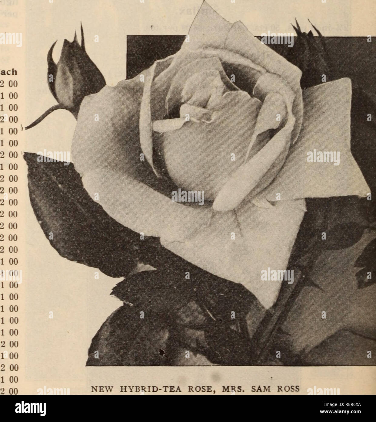 Lady edith ward hi-res stock photography and images - Alamy