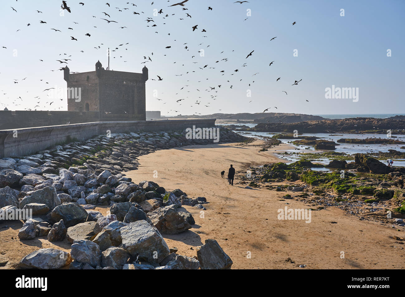 Berber coast hi-res stock photography and images - Alamy