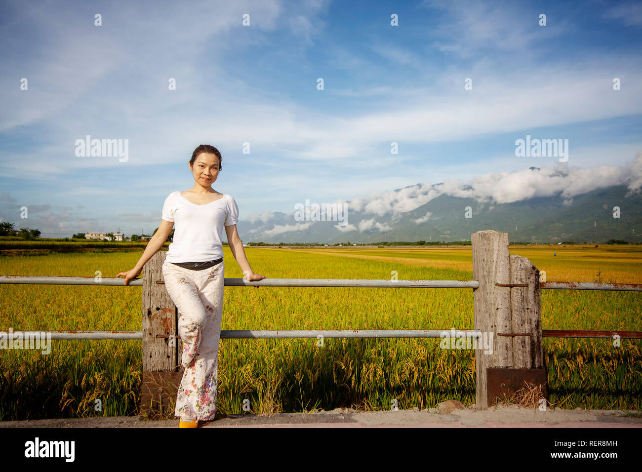 Rural scenery with golden paddy rice farm at Luye, Taitung, Taiwan ...