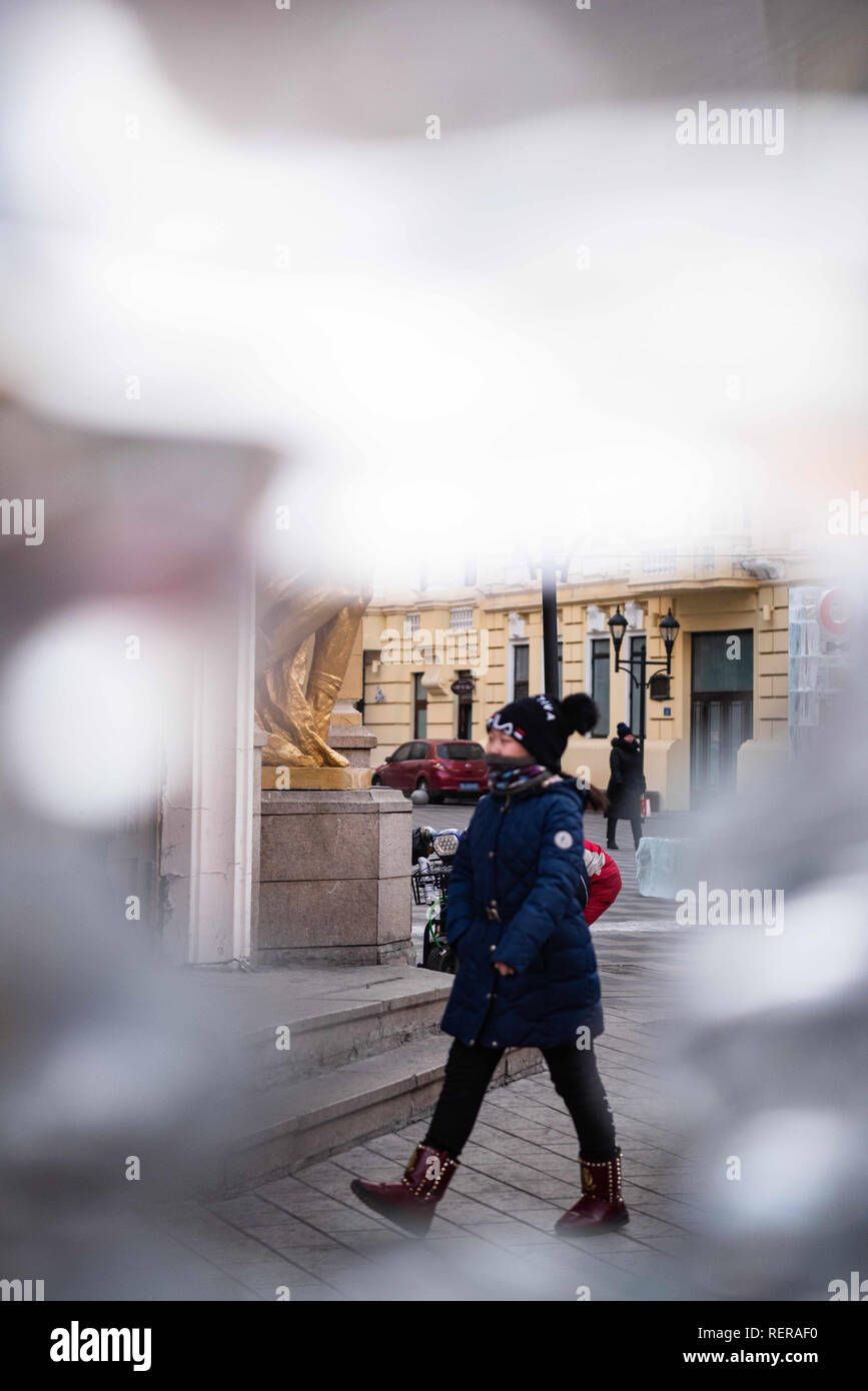 Harbin, Harbin, China. 22nd Jan, 2019. Harbin, CHINA-A glimpse of ...