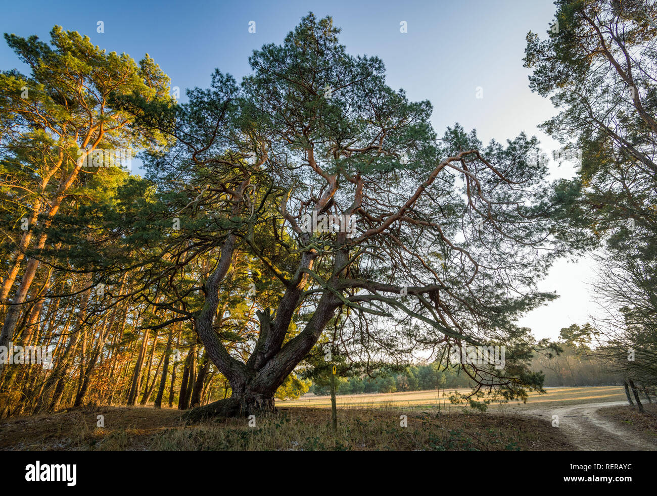 Low axes hi-res stock photography and images - Alamy