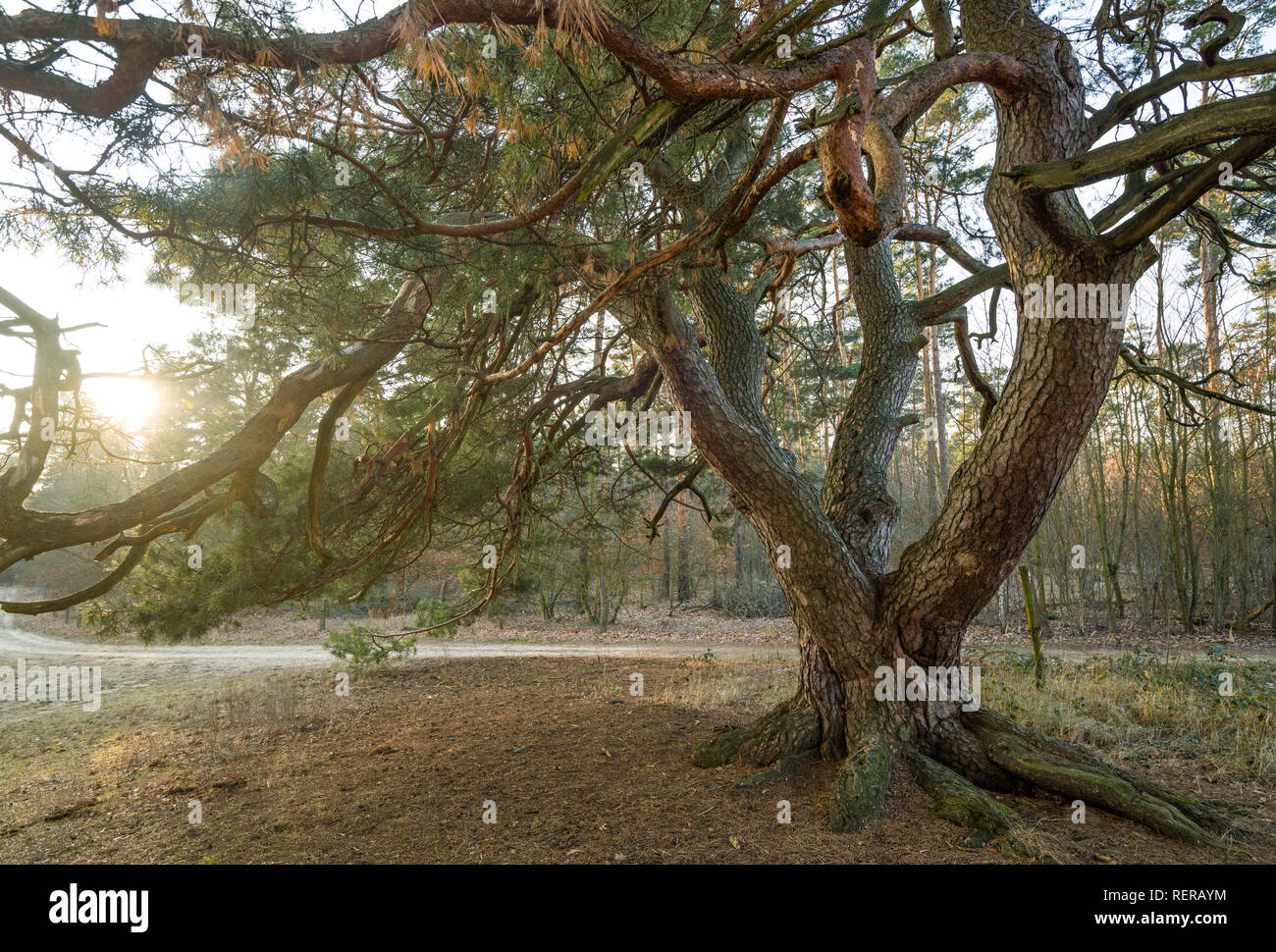 Low axes hi-res stock photography and images - Alamy