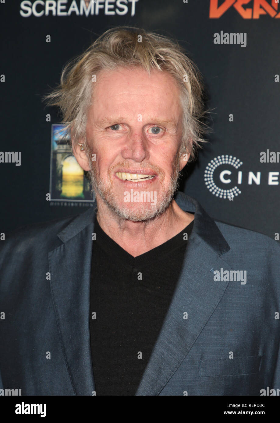Gary busey 2019 hi-res stock photography and images - Alamy