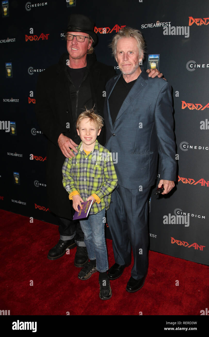 Luke Busey High Resolution Stock Photography and Images - Alamy