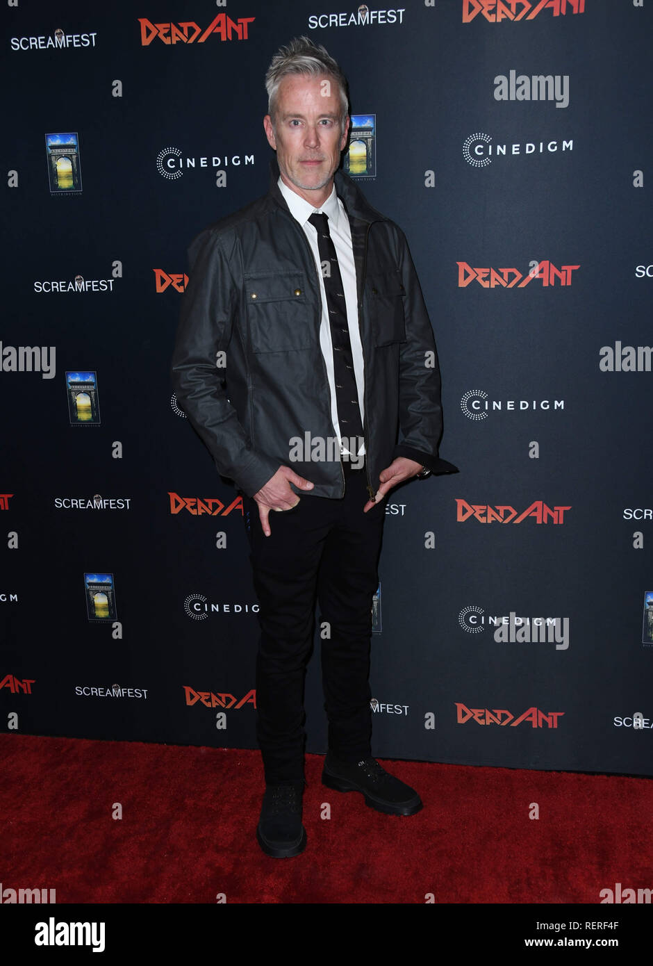 Hollywood, CA, USA. 22nd Jan, 2019. 22 January 2019 - Hollywood ...