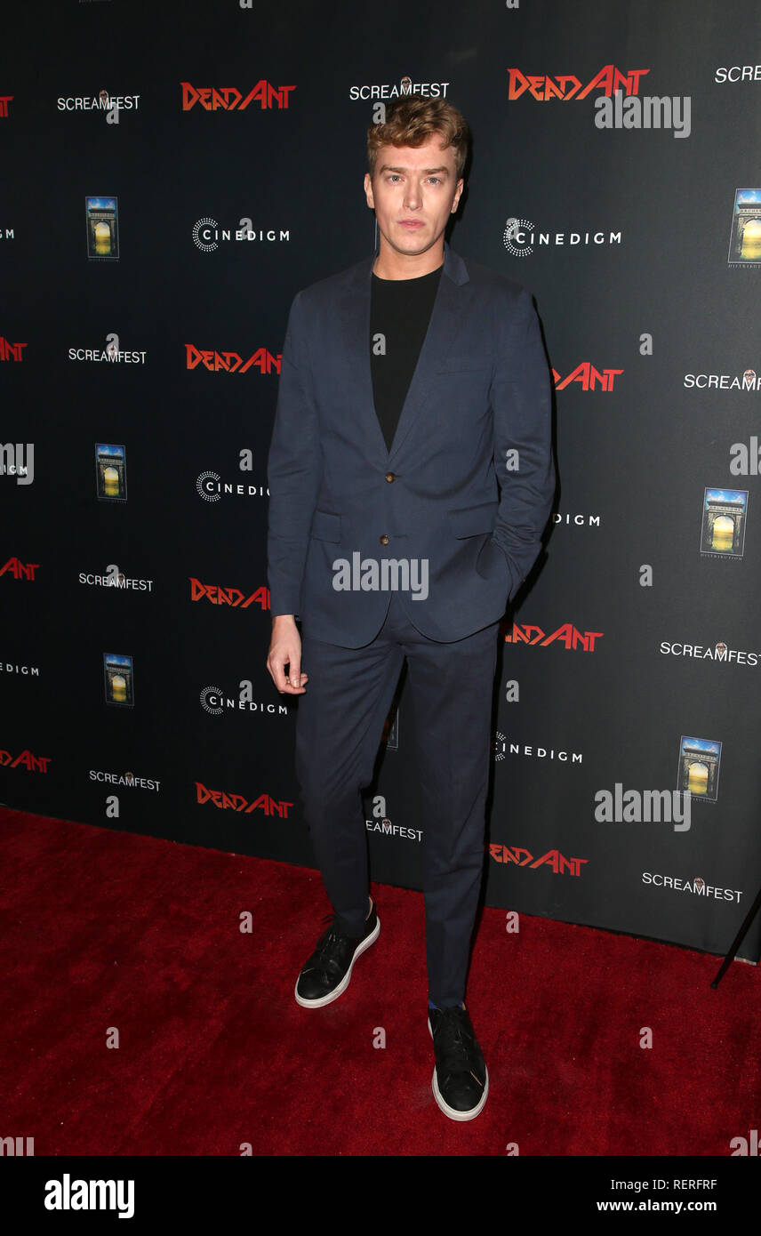 Jan fletcher hi-res stock photography and images - Alamy