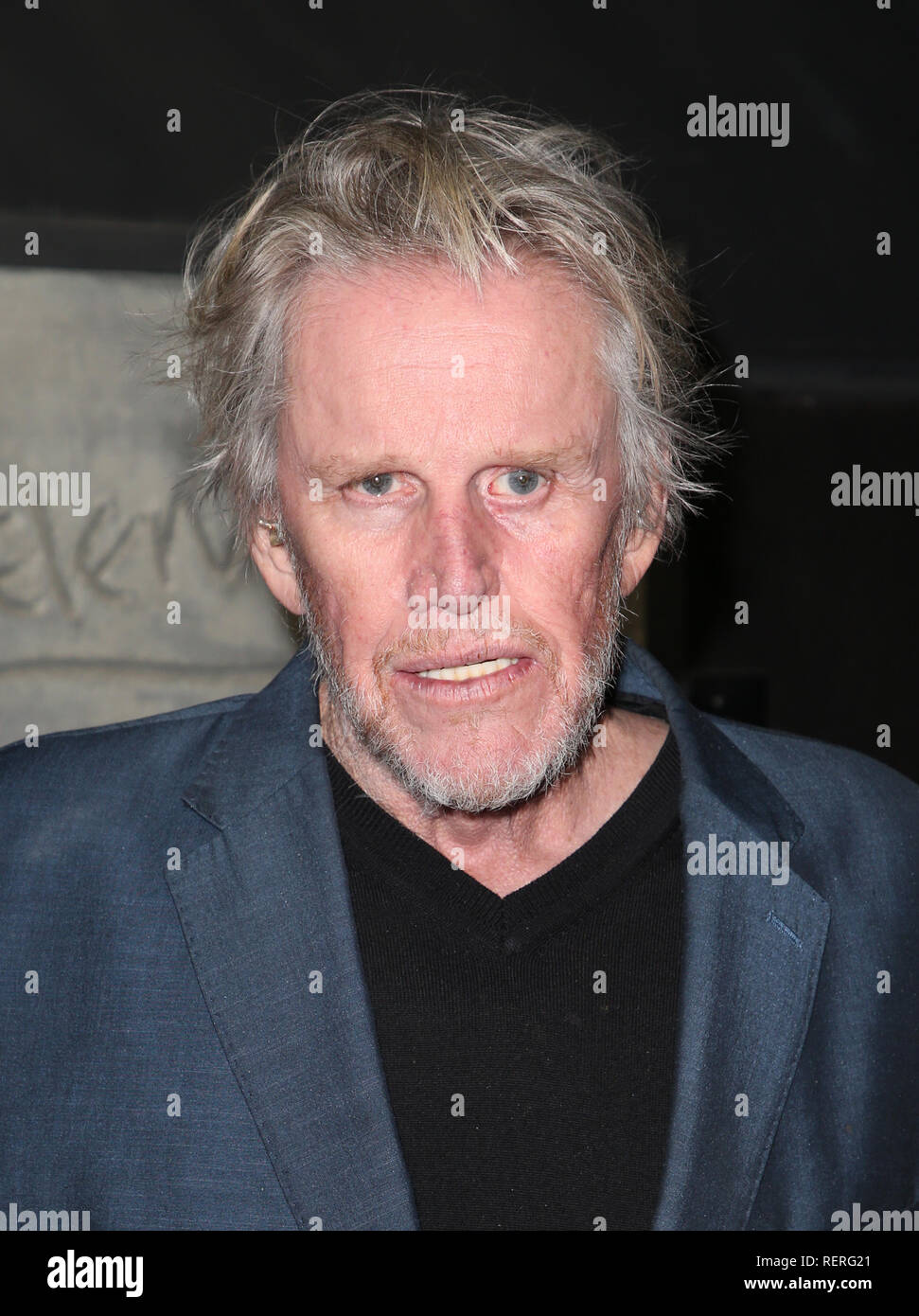 Gary busey 2019 hi-res stock photography and images - Alamy