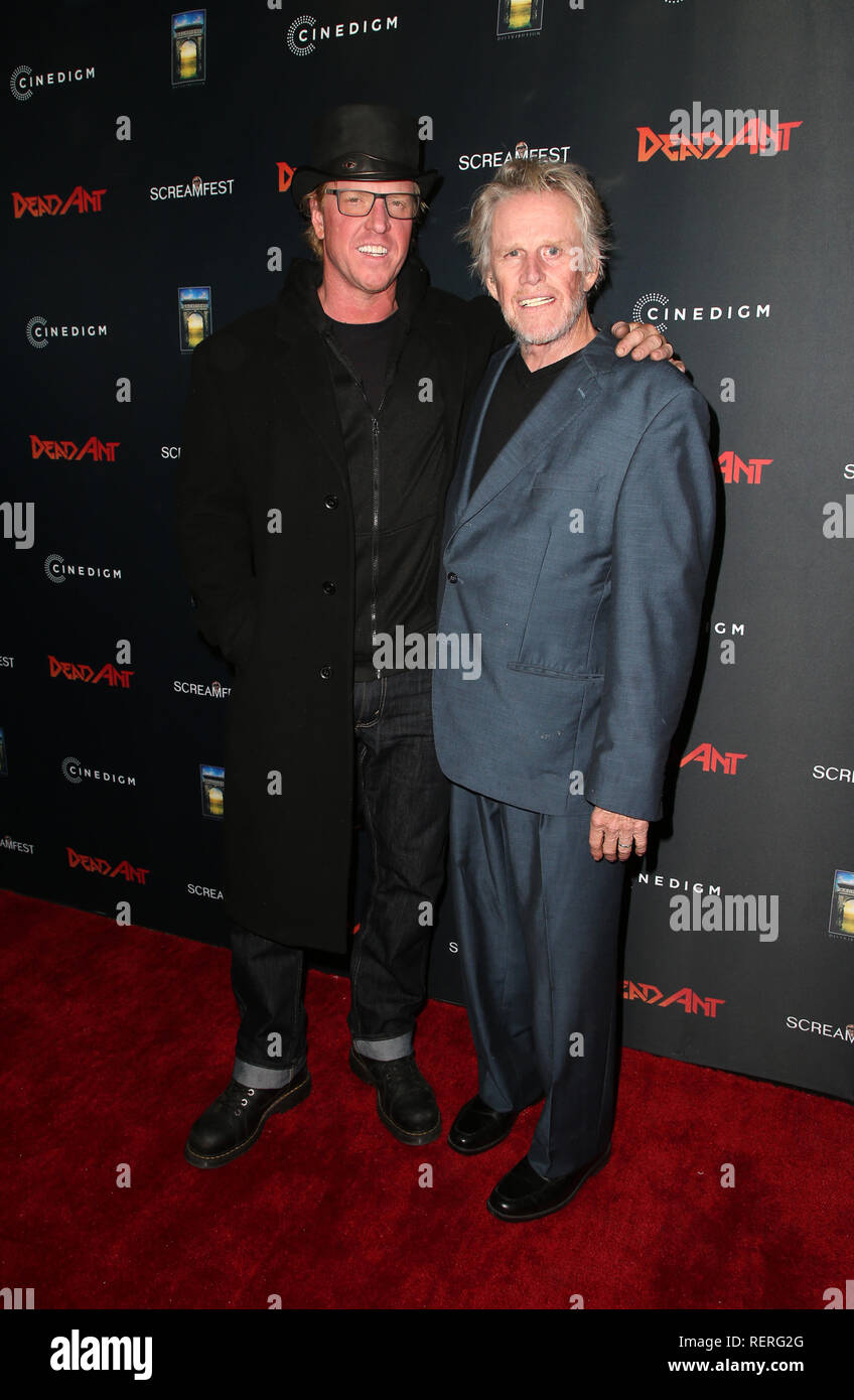Jake busey and gary busey hi-res stock photography and images - Alamy