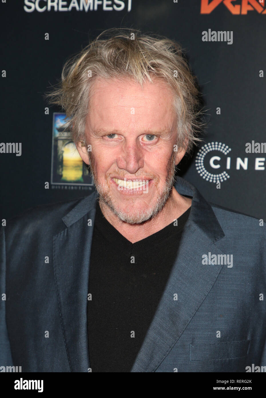 Hollywood, Ca. 22nd Jan, 2019. Gary Busey, at the LA Premiere Screening ...
