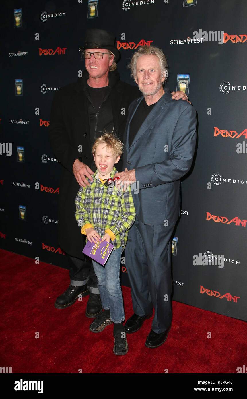 Hollywood, Ca. 22nd Jan, 2019. Jake Busey, Gary Busey, Luke Sampson ...