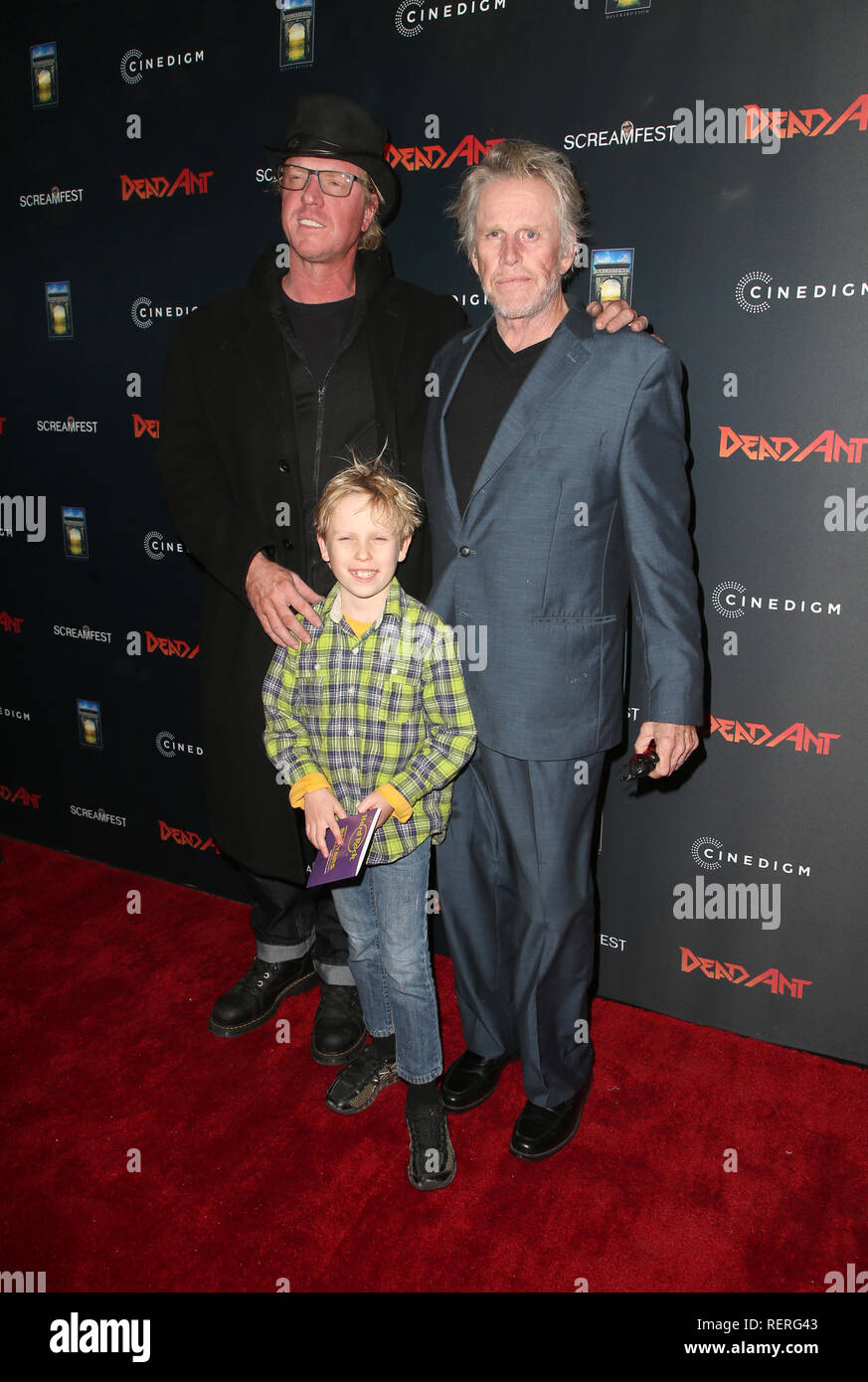 Luke sampson busey hi-res stock photography and images - Alamy