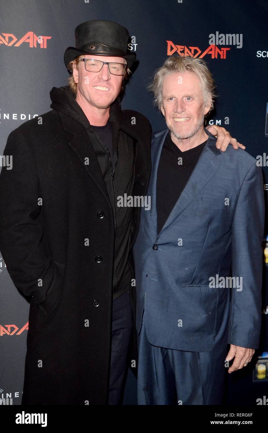 Jake busey and gary busey hi-res stock photography and images - Alamy