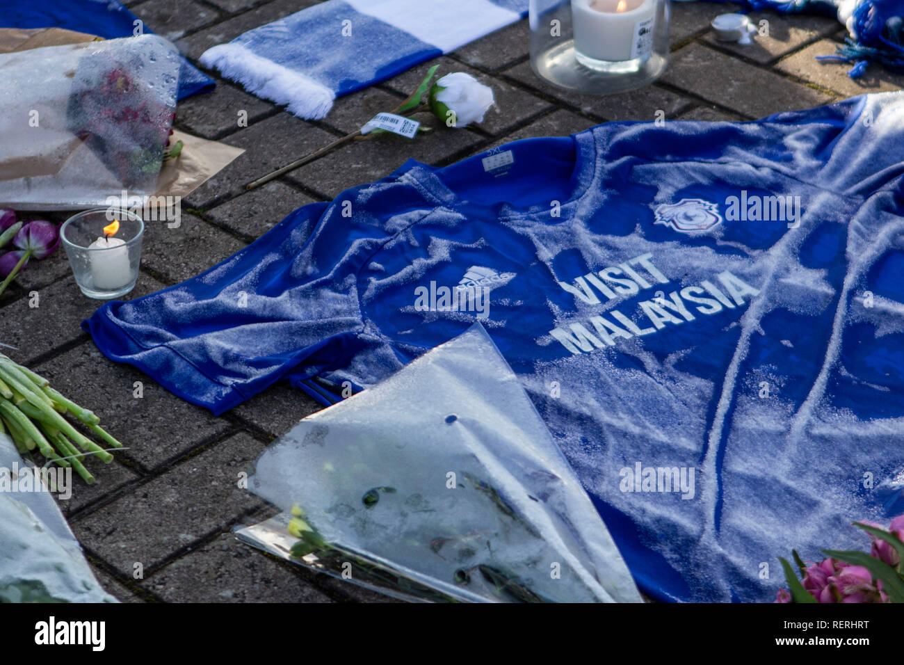 Cardiff City FC Stadium, Cardiff, Wales, UK. 23rd January 2019 ...