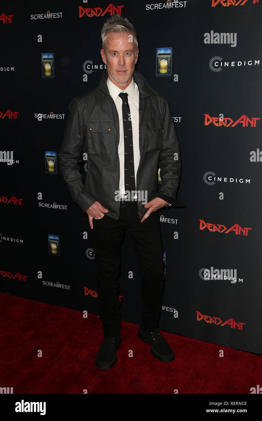 Los Angeles, CA, USA. 22nd Jan, 2019. 22 January 2019 - Hollywood ...