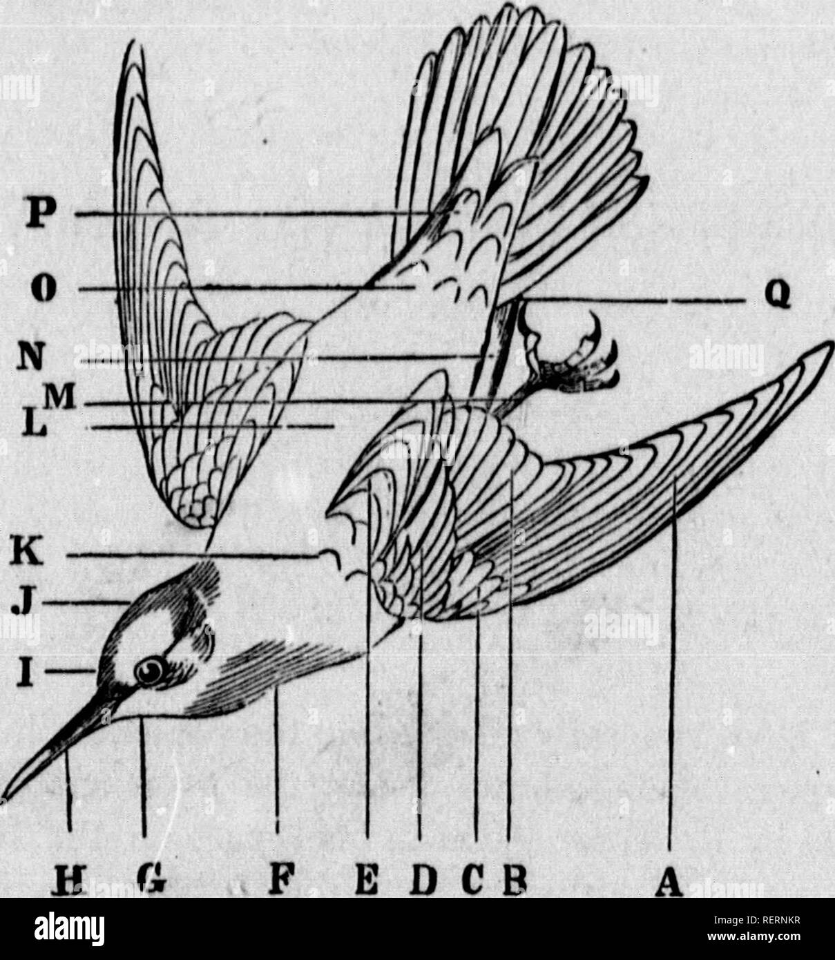 Iiig 2 hi-res stock photography and images - Alamy