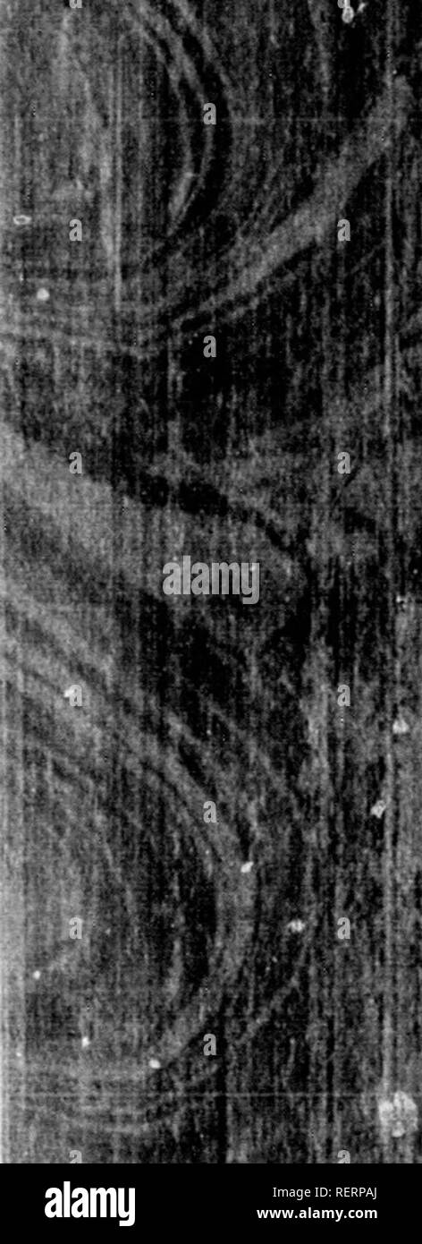 Molic hi-res stock photography and images - Alamy