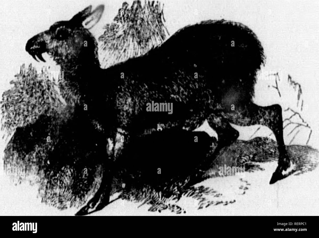 Spitting silk hi-res stock photography and images - Alamy