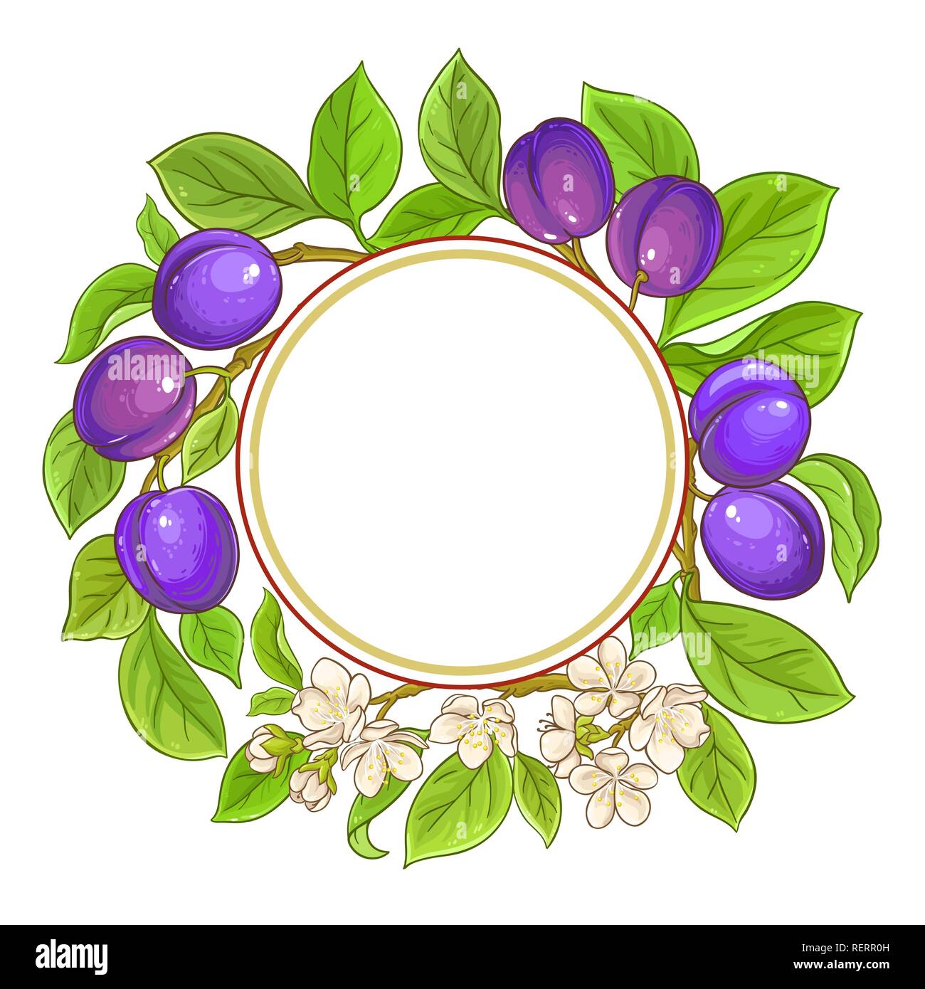 plum vector frame on white background Stock Vector Image & Art - Alamy