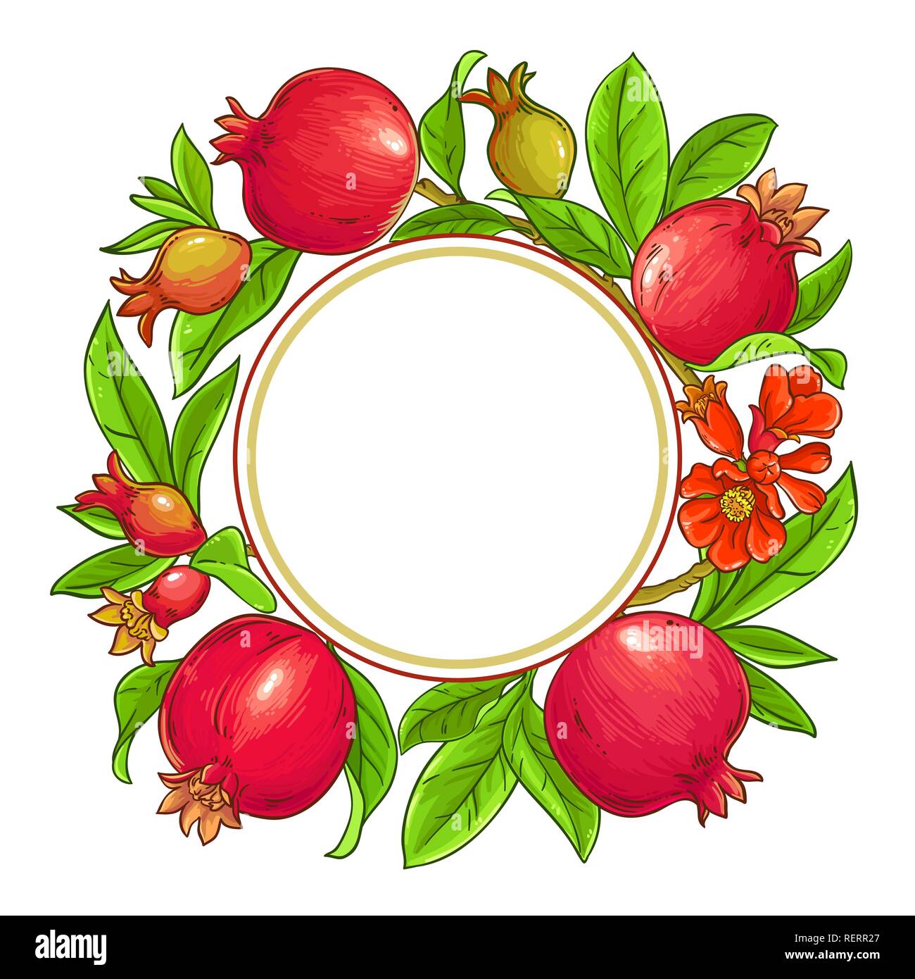 pomegranate vector frame on white background Stock Vector Image & Art ...