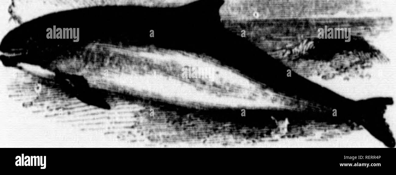 Ho hin hi-res stock photography and images - Alamy