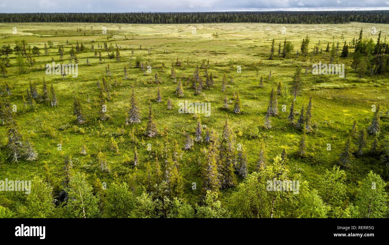 Aerial view of boreal forest hi-res stock photography and images - Alamy