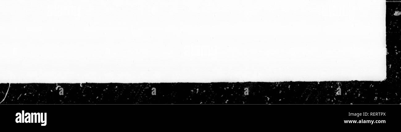 . A manual of the ornithology of the United States and of Canada ...