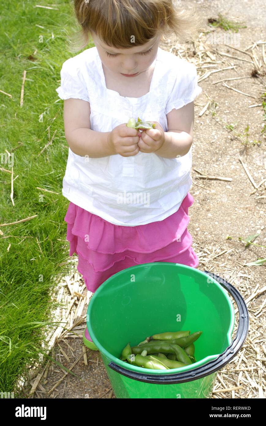 Two garden buckets hi-res stock photography and images - Alamy