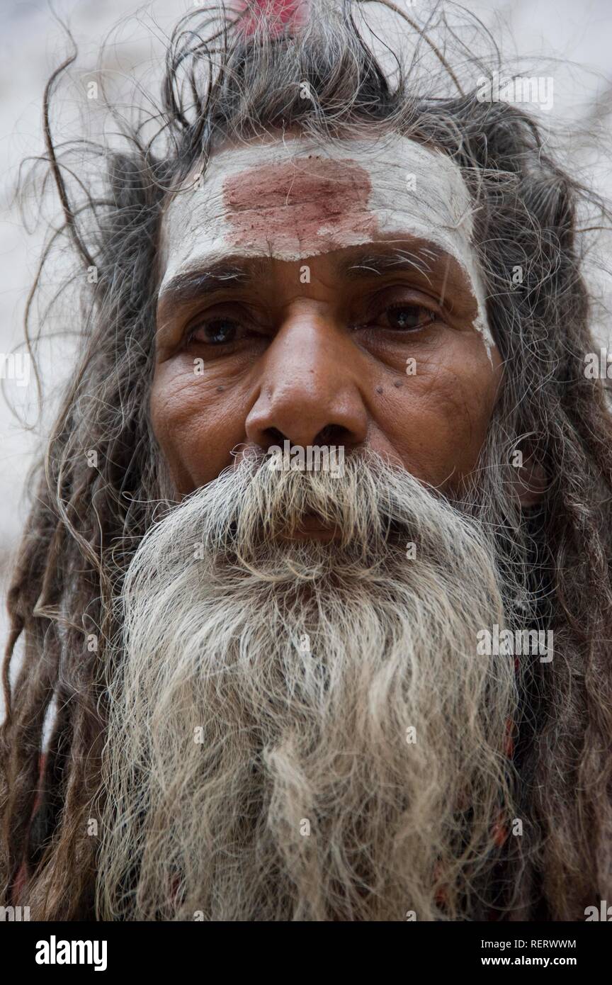 Indian Holy man, Sadhu, portrait, Varanasi, Benares, Uttar Pradesh ...