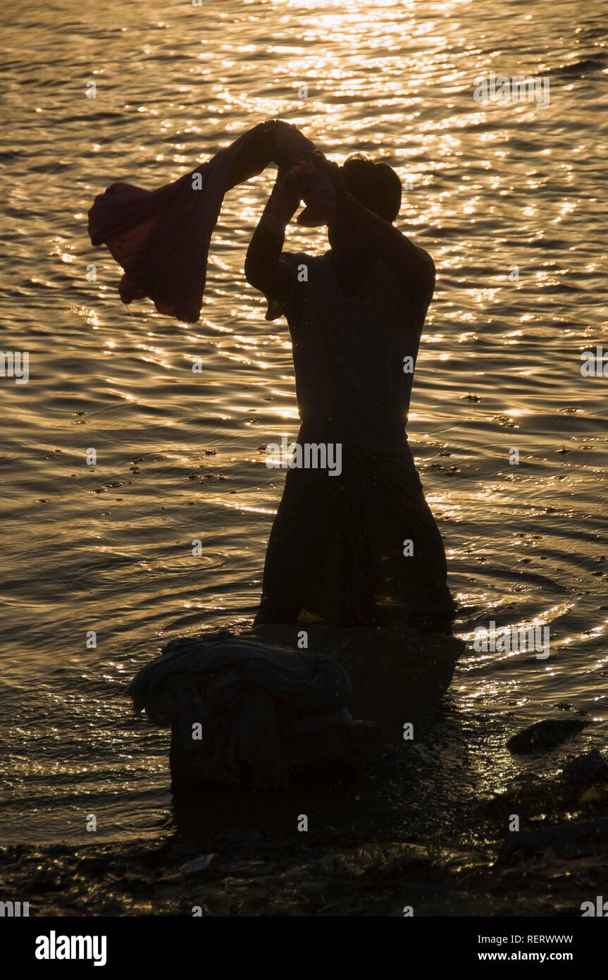 Indian man washing clothes in the Ganges, Varanasi, Benares, Uttar ...