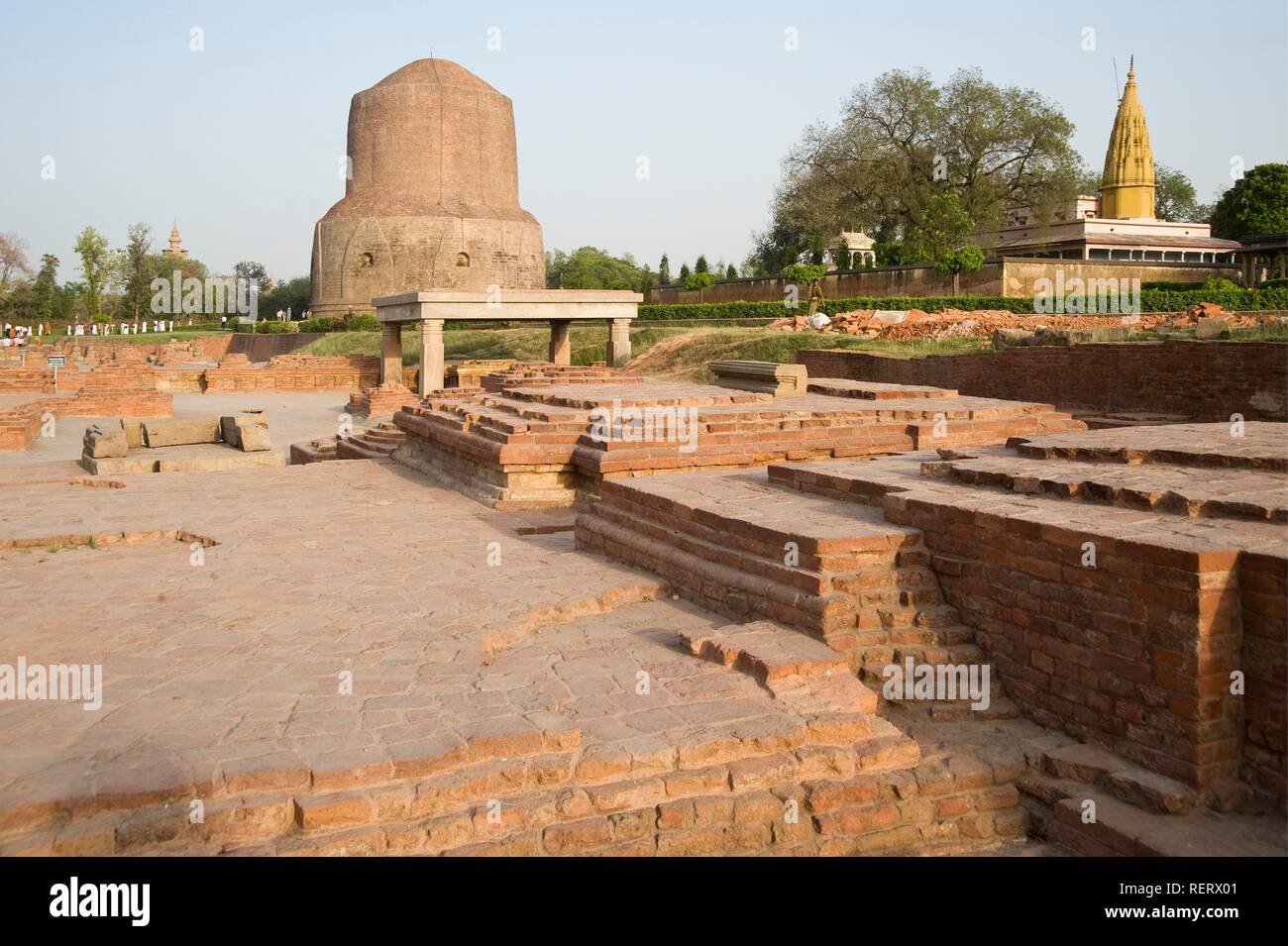 Dhamekh stupa, Isipatana Deer Park, Sarnath, Uttar Pradesh, India ...