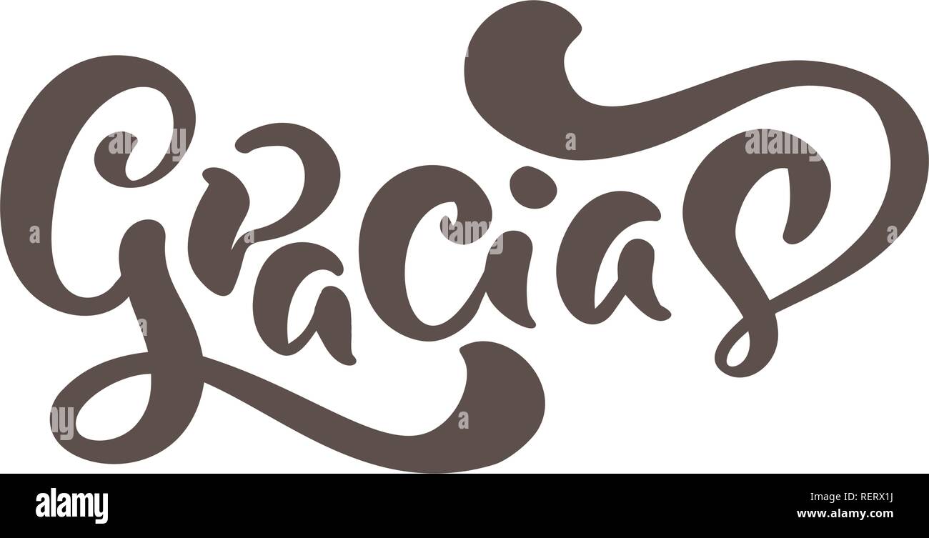 Gracias Vector text in Spanish Thank you. Lettering calligraphy vector ...