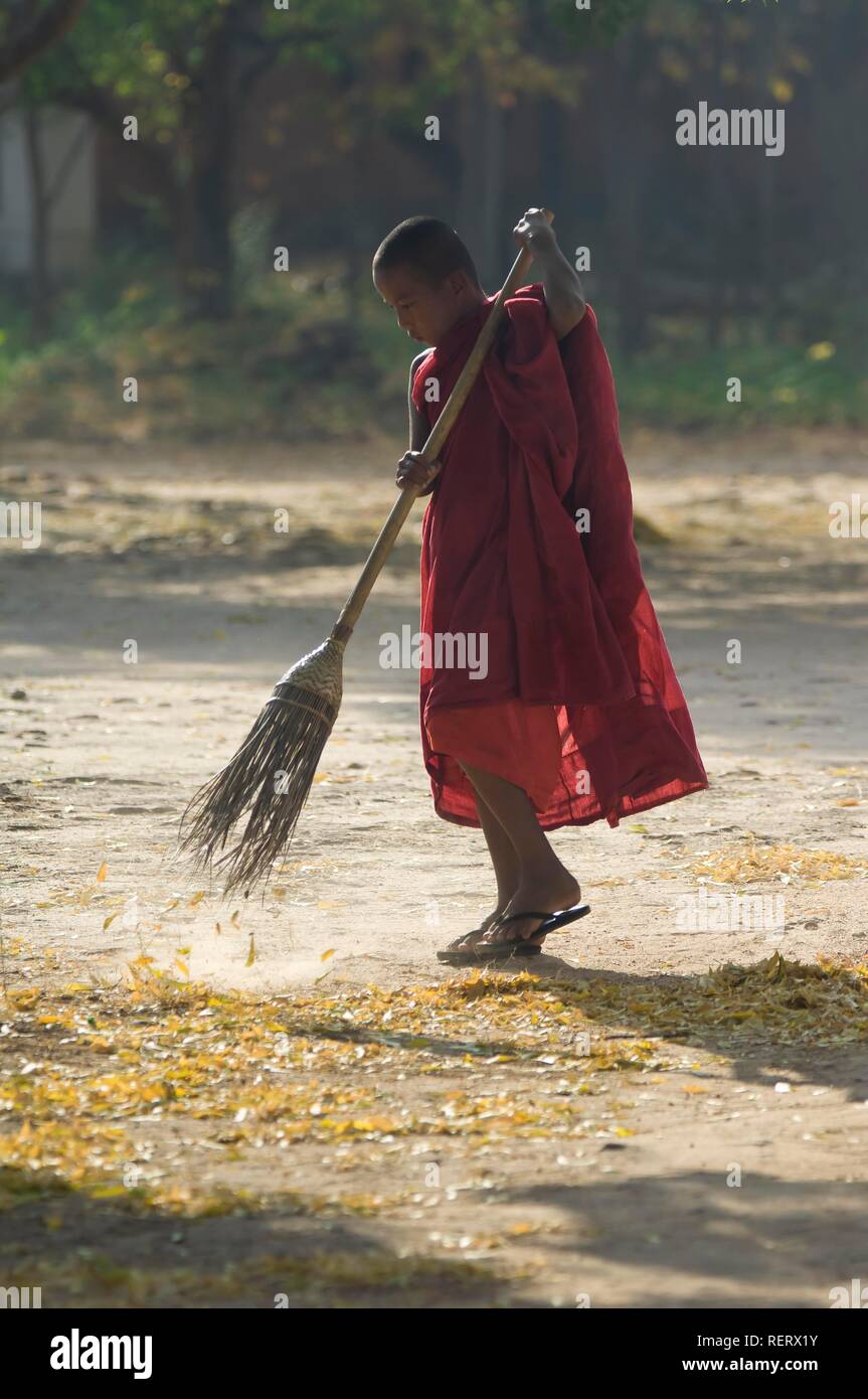Novice Buddhist monk sweeping out leaves, Bagan, Burma, Myanmar ...