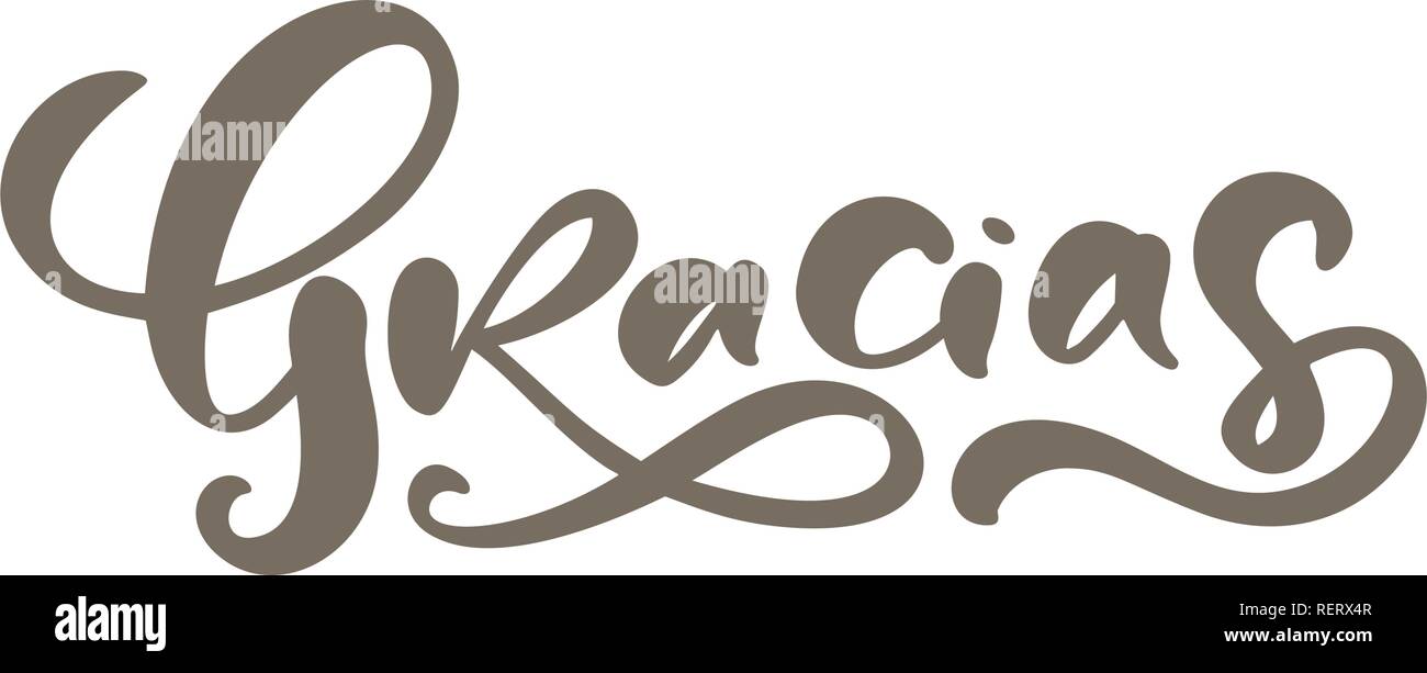 Gracias Vector text in Spanish Thank you. Lettering calligraphy vector ...