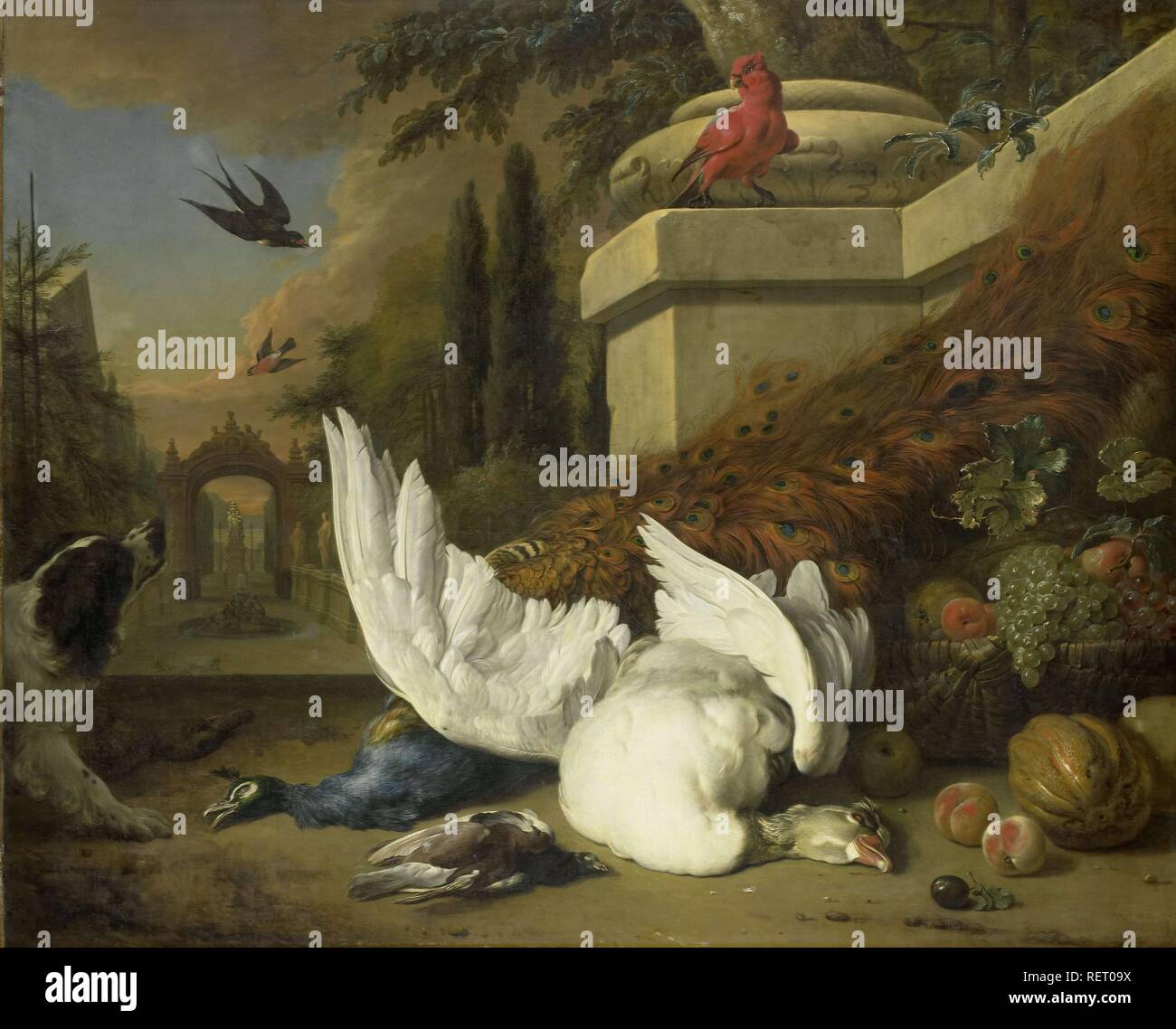 Dead goose hi-res stock photography and images - Alamy