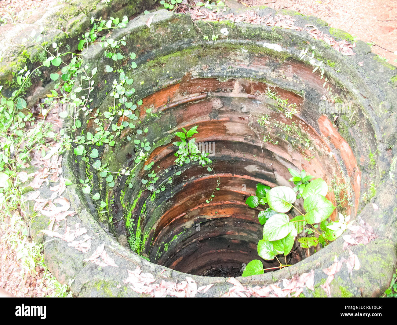 temple well Polonnaruwa, Sri Lanka. The ruins of an ancient temple ...