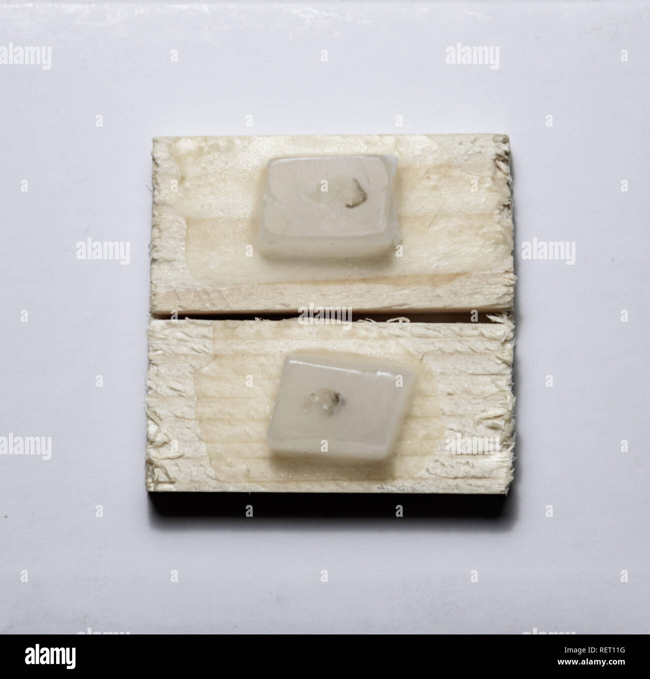 Paraffin blocks with cancer samples, samples for histological ...