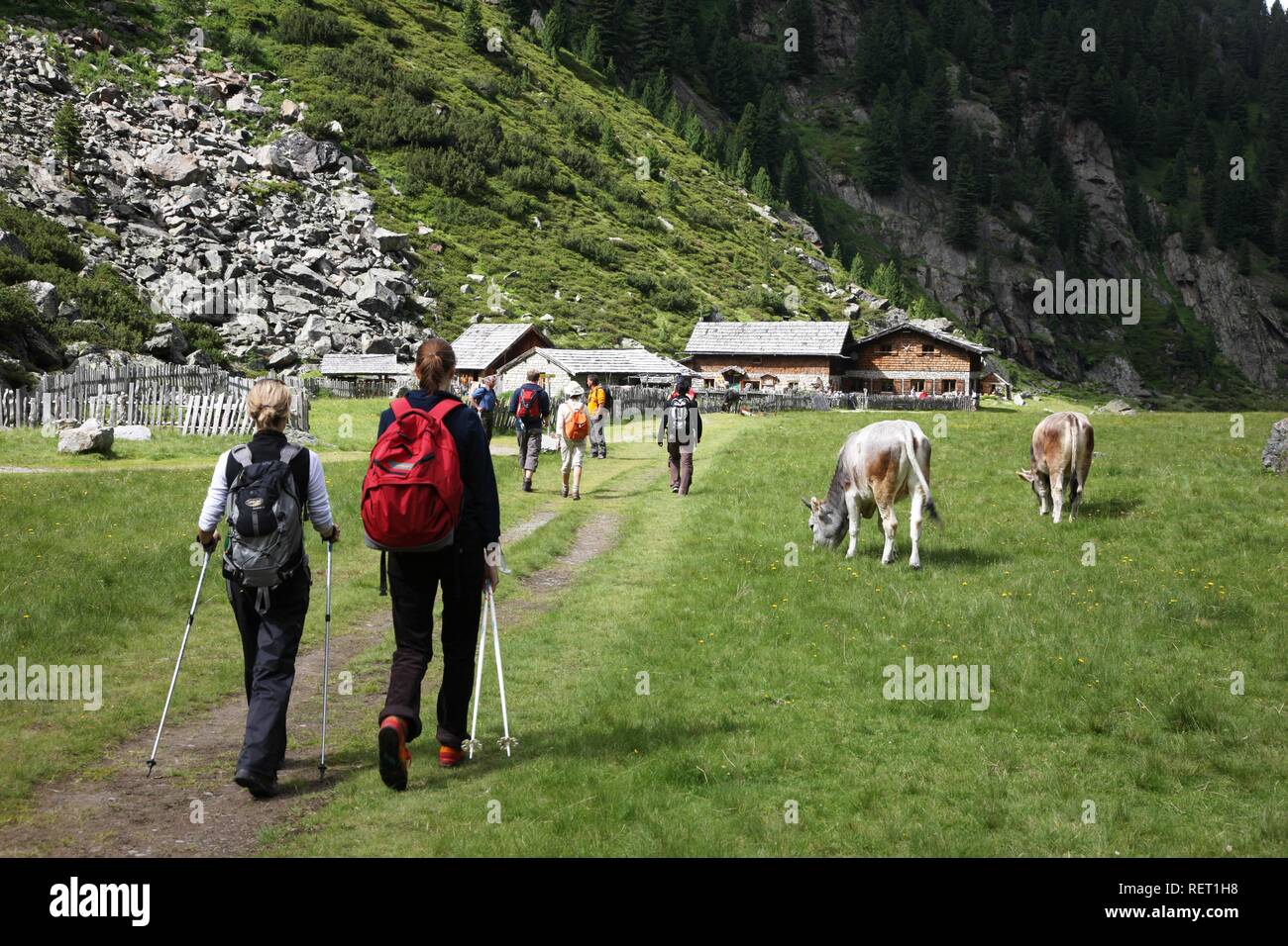 Sulzenau alm hi-res stock photography and images - Alamy
