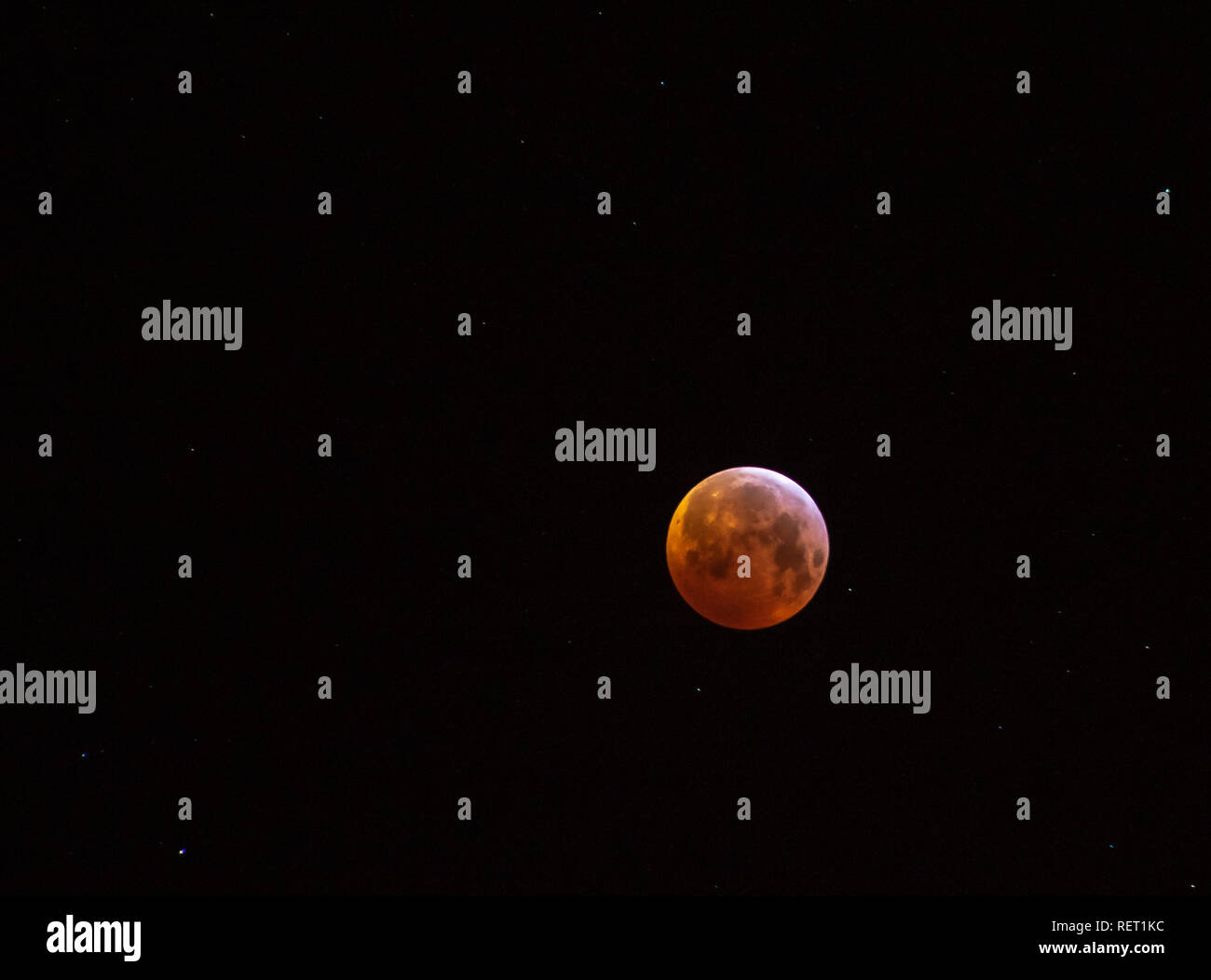 Full wolf moon hi-res stock photography and images - Alamy