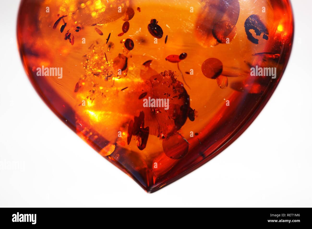Section of a heart-shaped piece of polished Amber with many inclusions ...