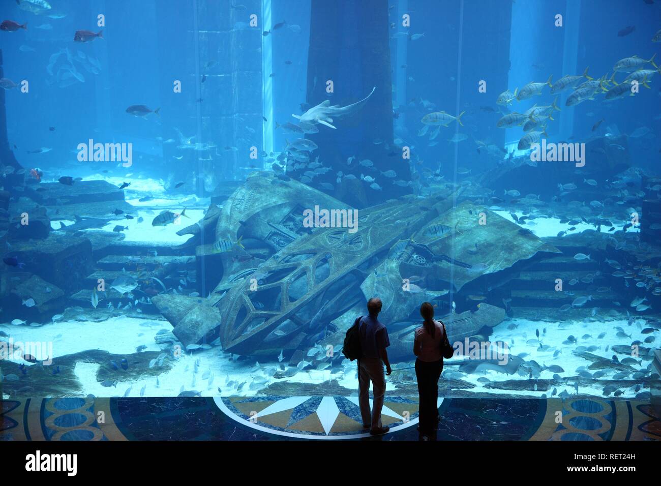 View from East Tower Lobby into the Ambassador Lagoon, 11 million liter ...