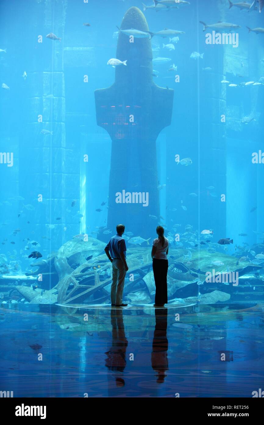 View from East Tower Lobby into the Ambassador Lagoon, an 11 million ...