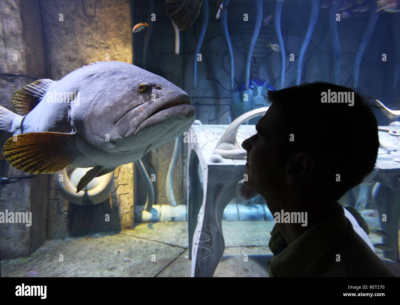 The Lost Chambers, Atlantis Adventure Park, part of the Ambassador ...