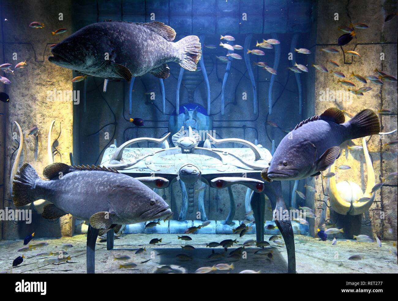 The Lost Chambers, Atlantis Adventure Park, part of the Ambassador ...