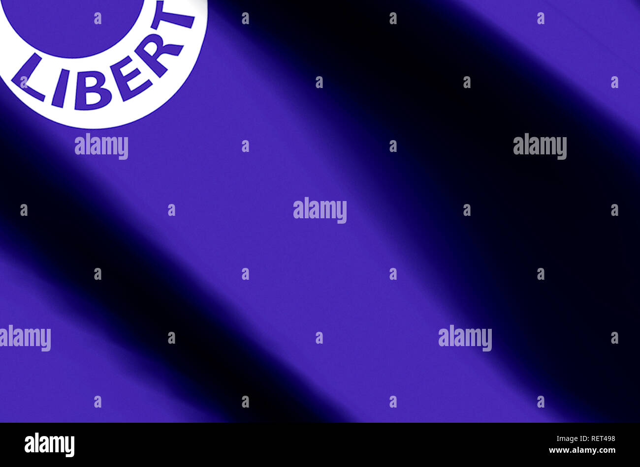 Fort Moultrie stylish waving and closeup flag illustration. Perfect for ...