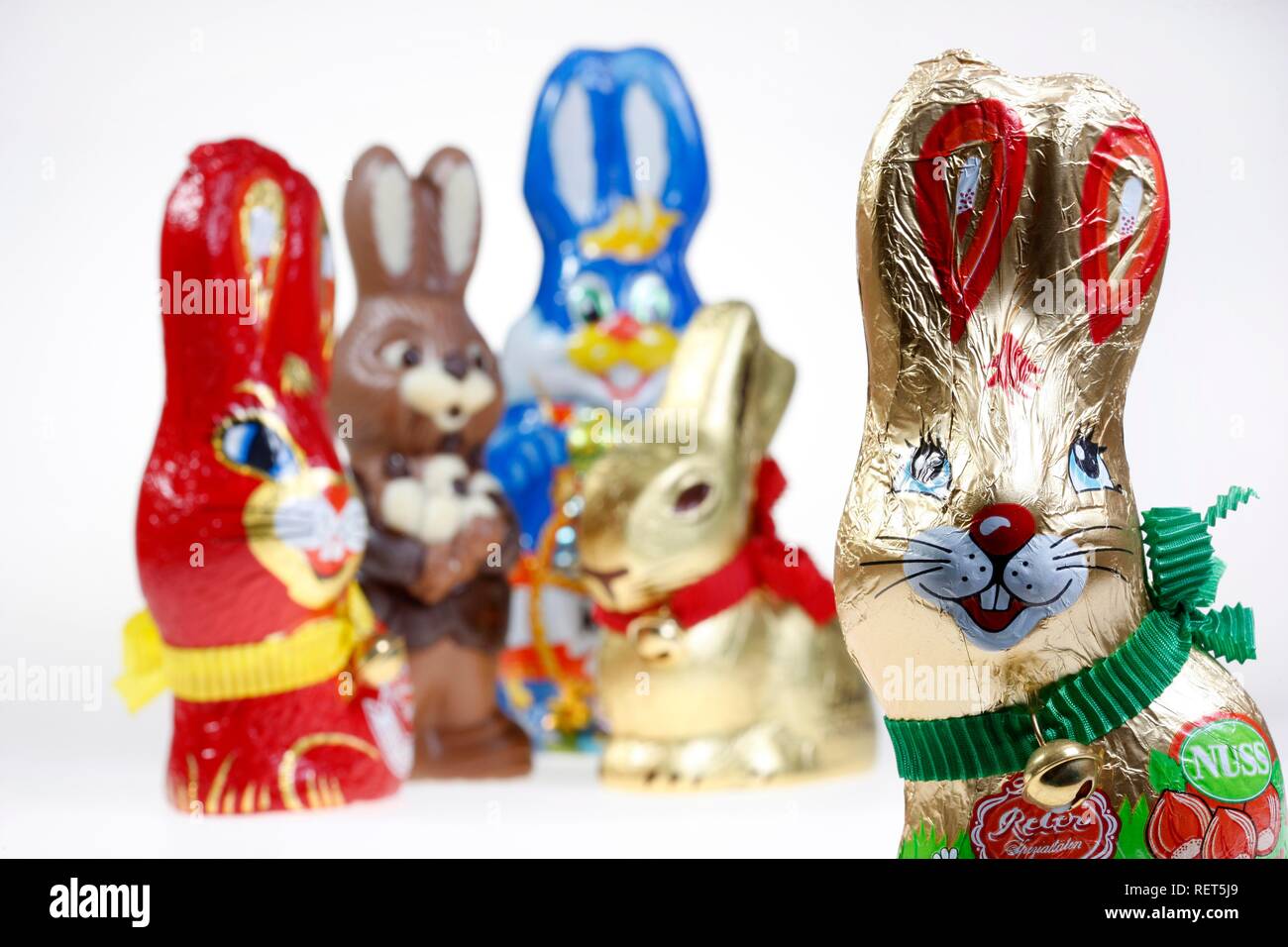 Chocolate easter bunnies Stock Photo - Alamy