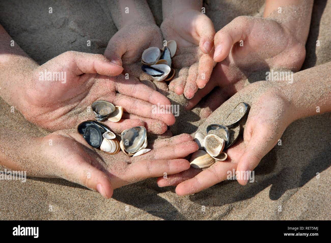 Gathering Mussels High Resolution Stock Photography and Images - Alamy